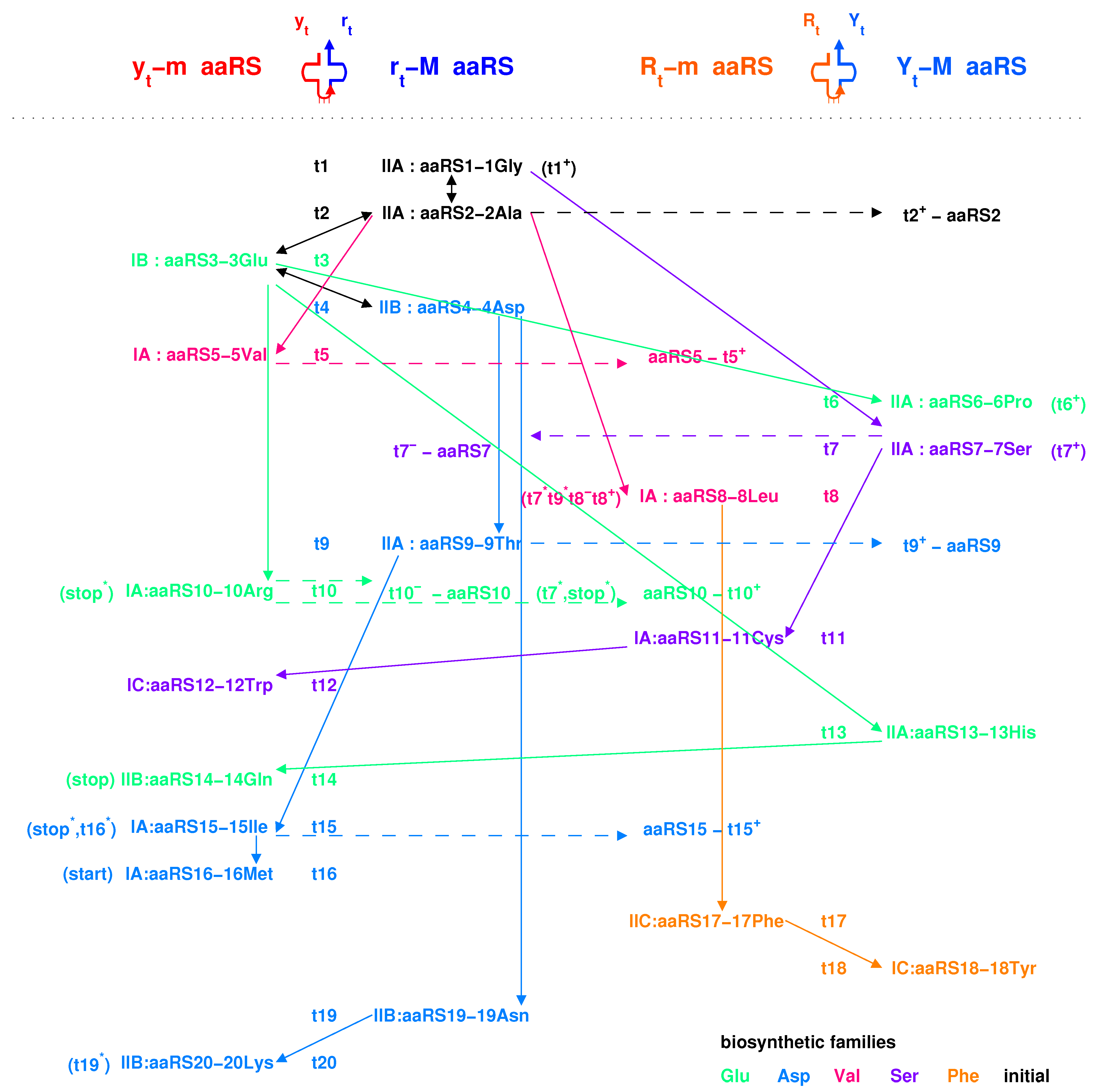 Formation of the Codon Degeneracy during Interdependent Development ...