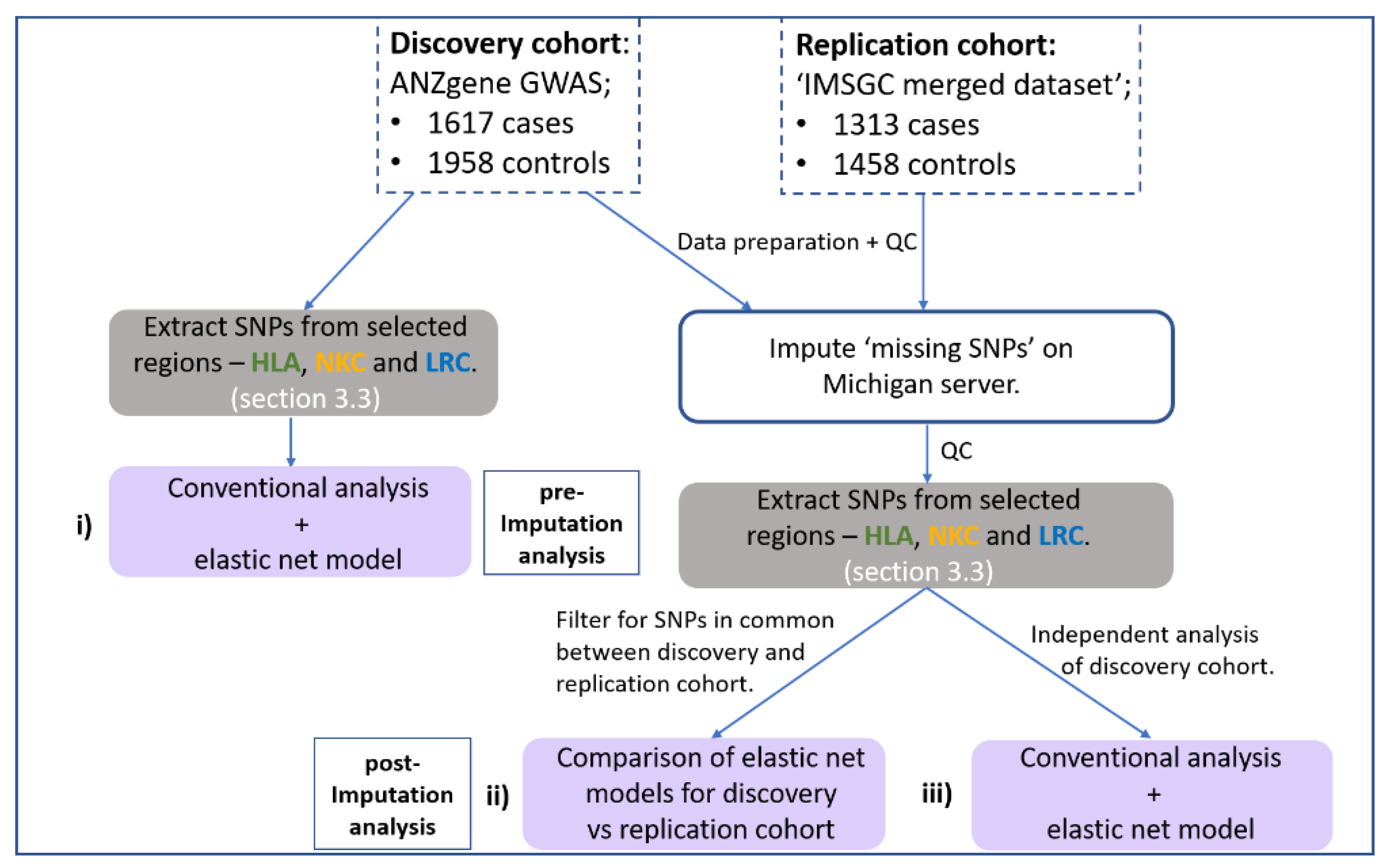 Capturing Snp Association Across The Nk Receptor And Hla Gene Regions