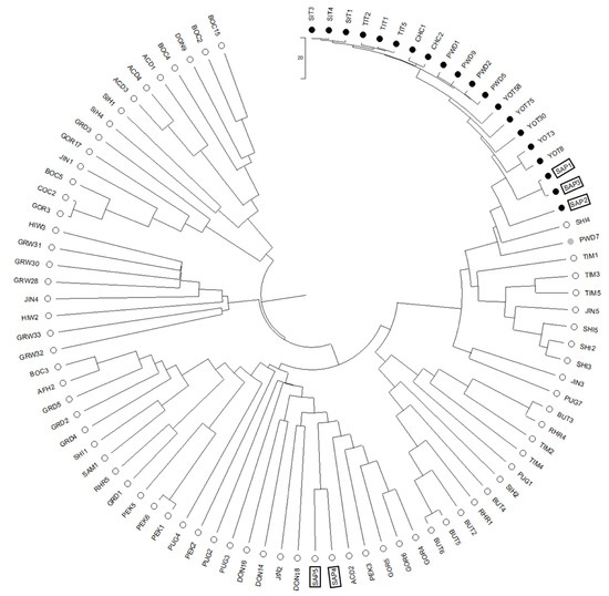 Tracing the Origin of the RSPO2 Long-Hair Allele and Epistatic ...