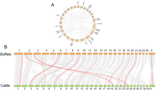 Genomic Identification, Evolution, and Expression Analysis of ...