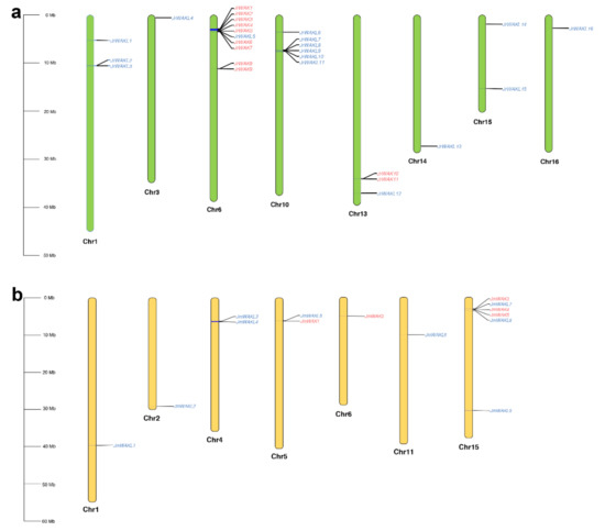 Genes | Free Full-Text | Identification and Characterization of Wall ...