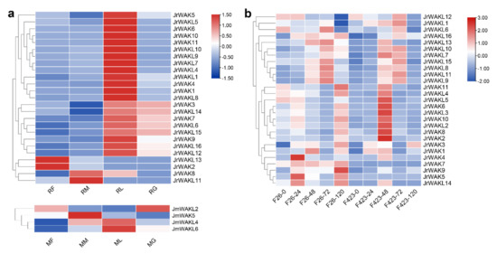 Genes | Free Full-Text | Identification and Characterization of Wall ...