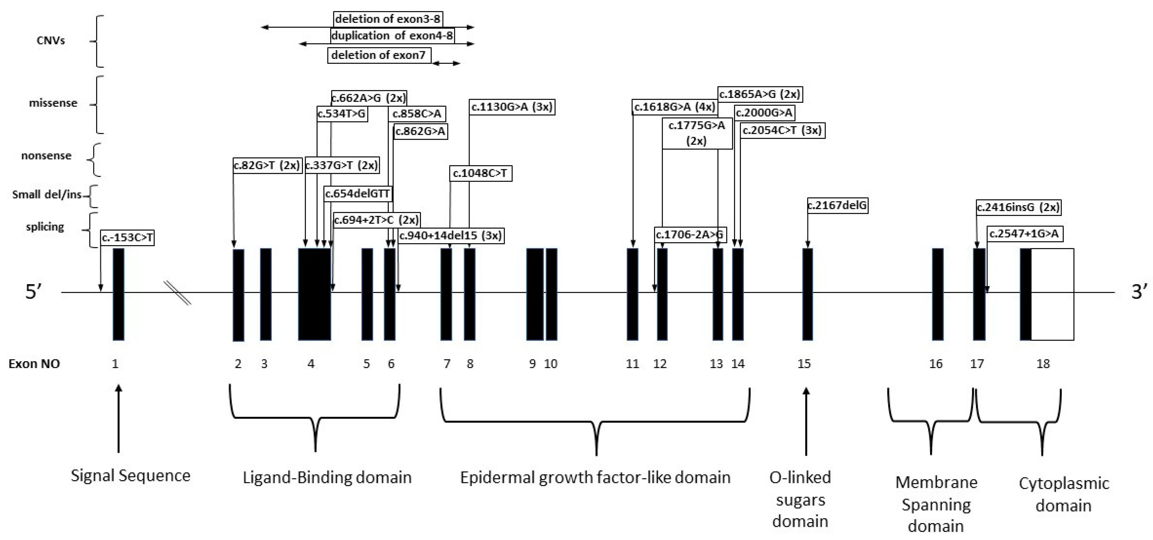 Establishing the Mutational Spectrum of Hungarian Patients with ...