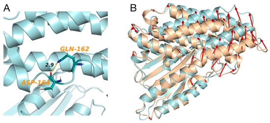 A Gain-of-Function Mutation on BCKDK Gene and Its Possible Pathogenic ...