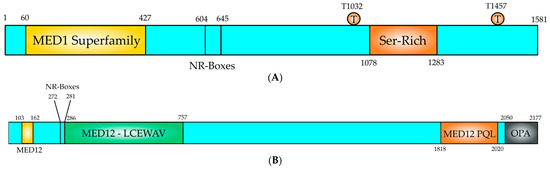 Role of the Mediator Complex and MicroRNAs in Breast Cancer Etiology