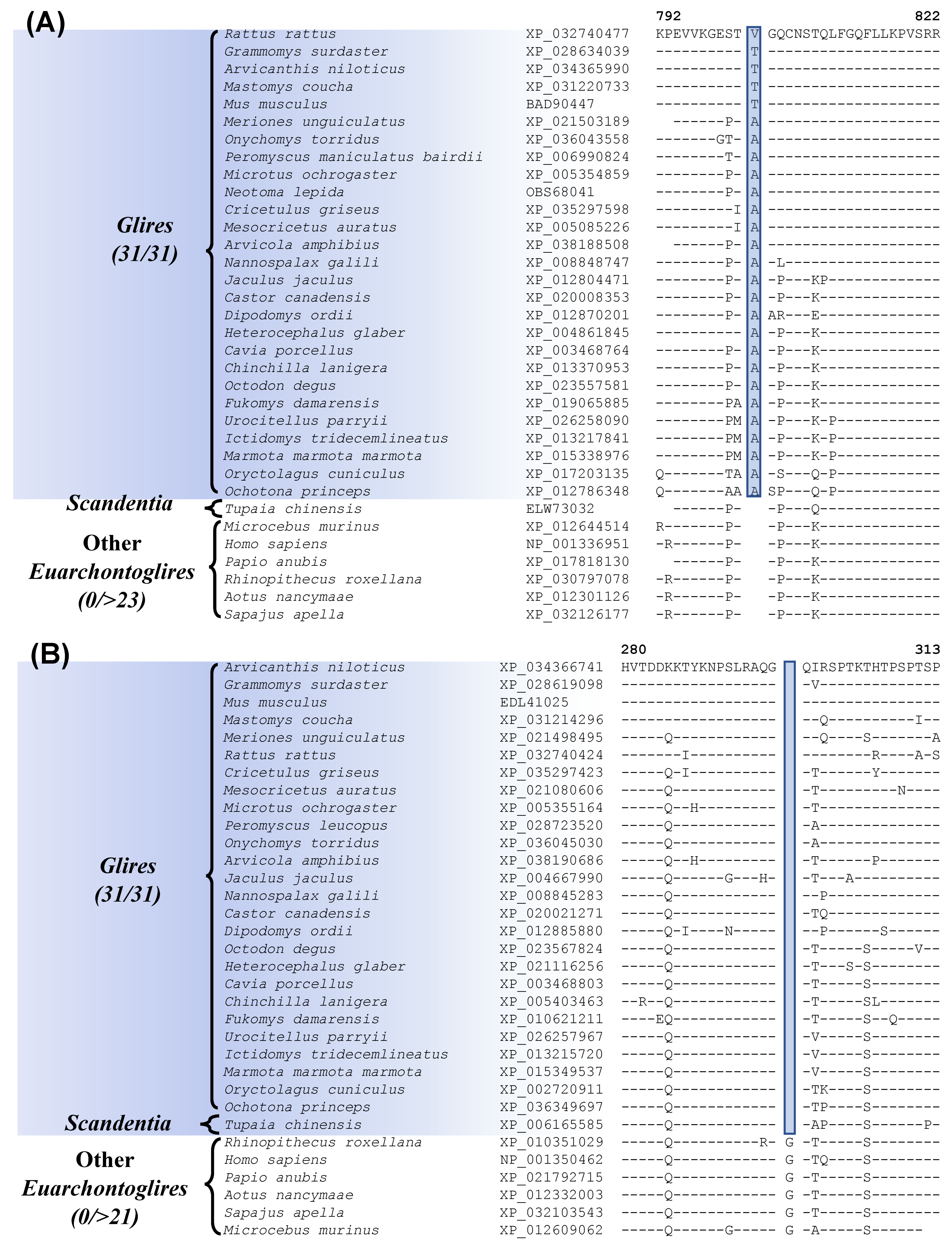 Genes | Free Full-Text | Conserved Signatures in Protein Sequences ...