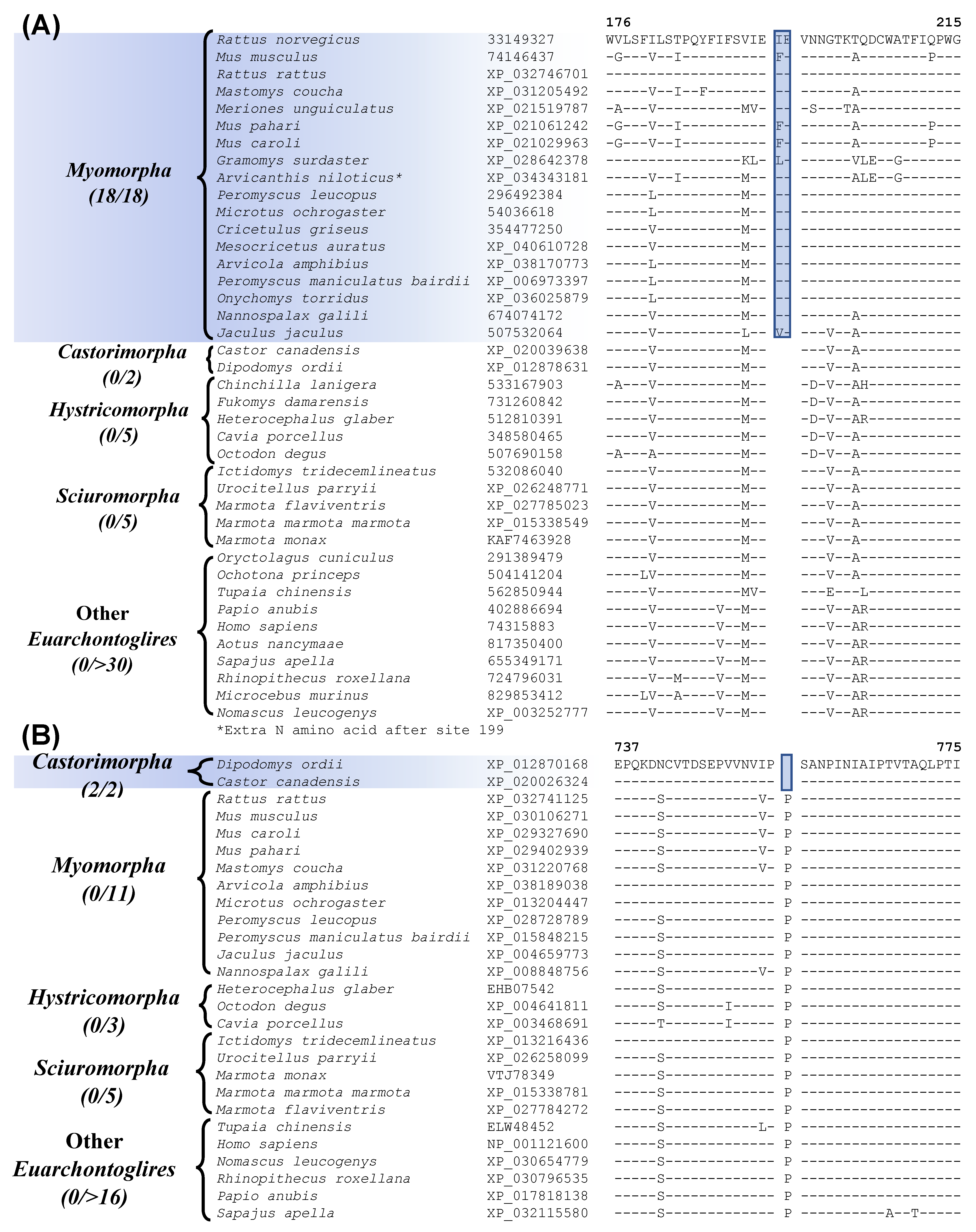 Genes | Free Full-Text | Conserved Signatures in Protein Sequences ...