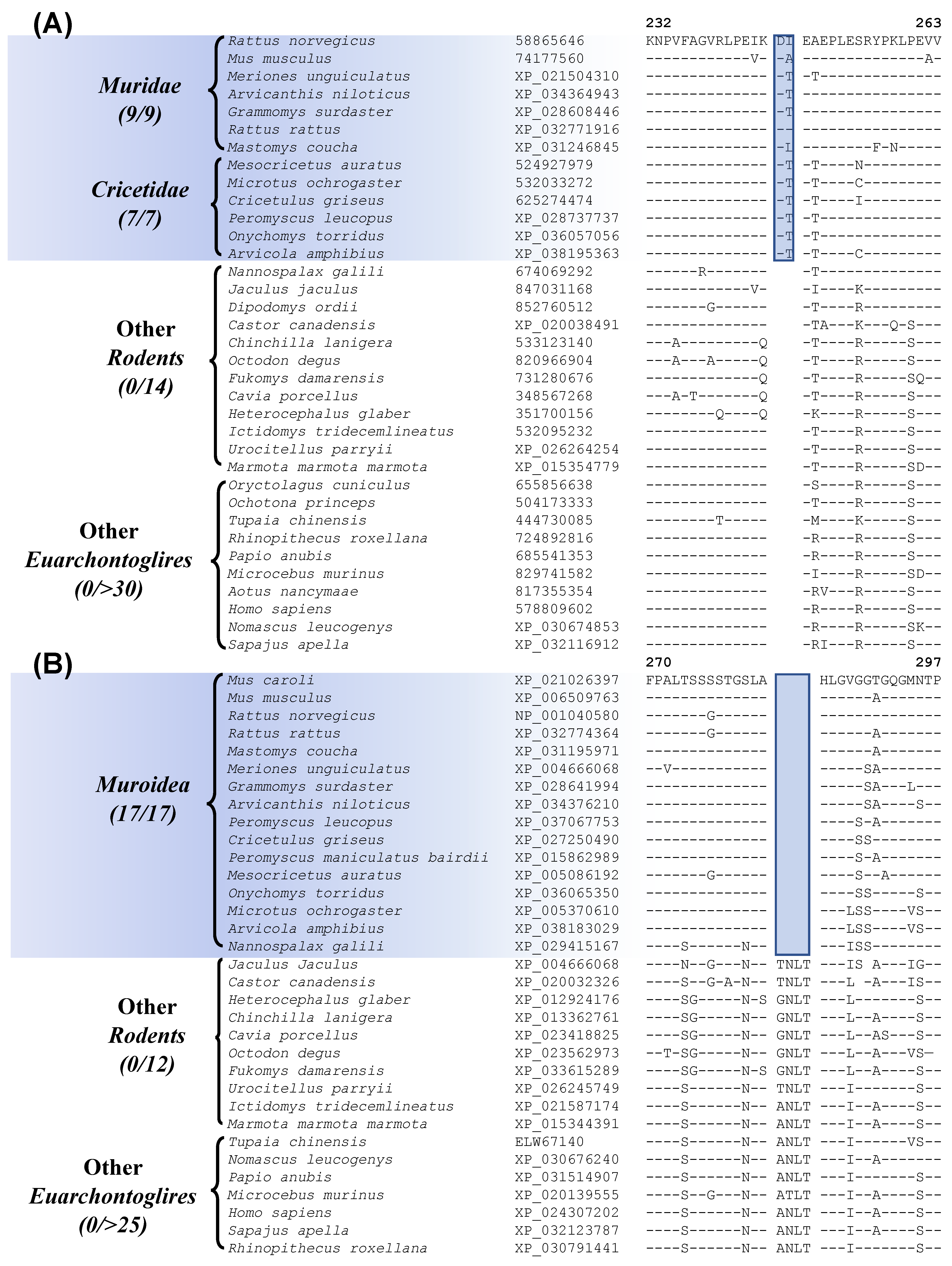 Genes | Free Full-Text | Conserved Signatures in Protein Sequences ...