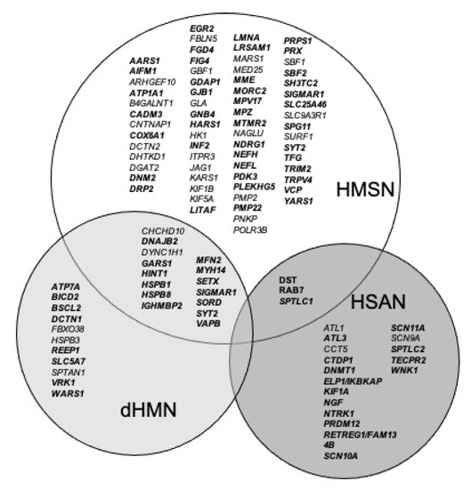 A National French Consensus on Gene List for the Diagnosis of Charcot ...
