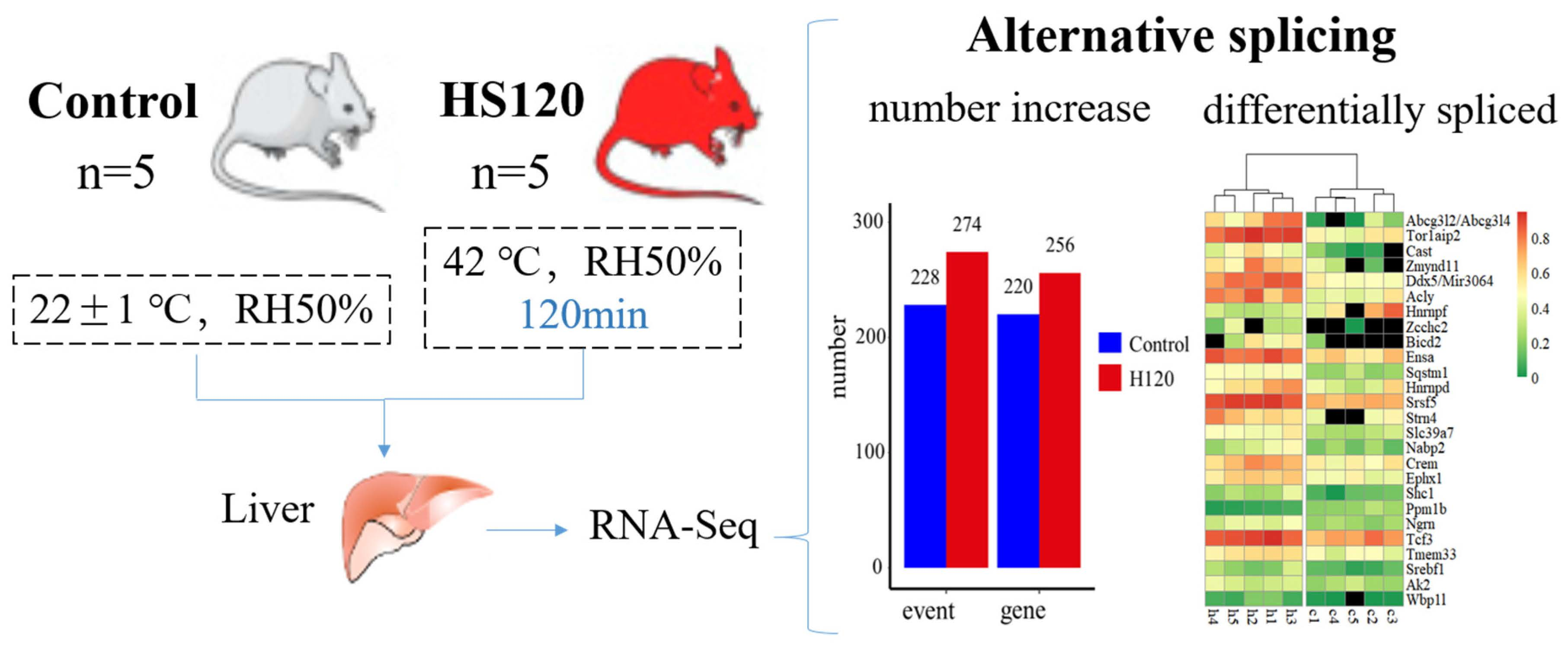 Genes | Free Full-Text | Analysis of Genomic Alternative Splicing ...