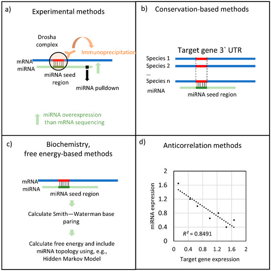 Analysing miRNA-Target Gene Networks in Inflammatory Bowel Disease and ...