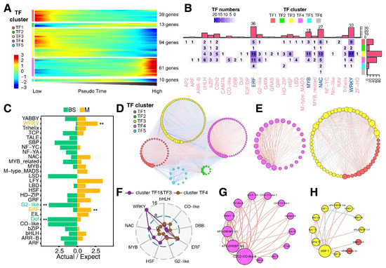 Genes | Free Full-Text | Single-Cell Transcriptome and Network Analyses ...