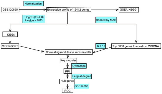 Identification of Immune Markers in Dilated Cardiomyopathies with Heart ...