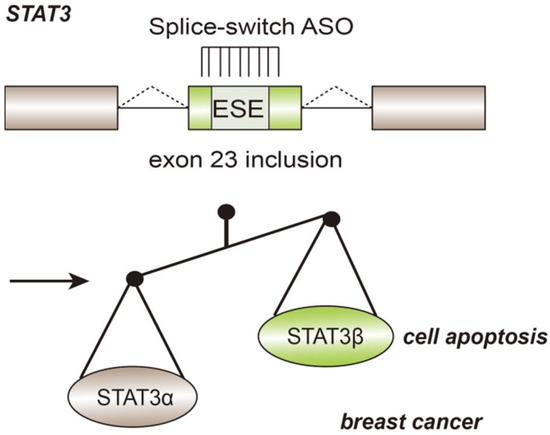 Alternative Splicing and Isoforms: From Mechanisms to Diseases