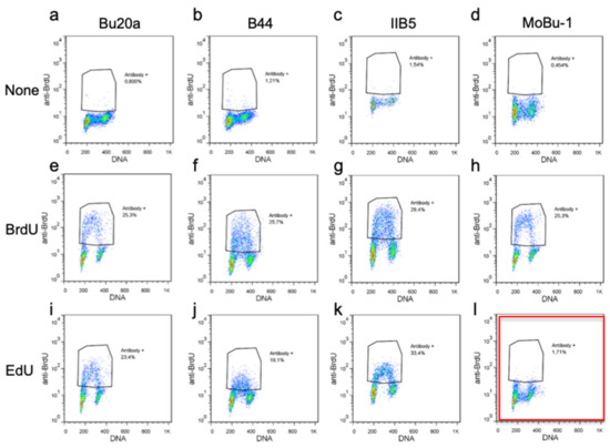 Measuring S-Phase Duration from Asynchronous Cells Using Dual EdU-BrdU Pulse-Chase Labeling Flow ...