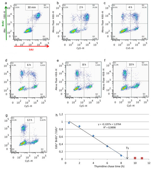 Measuring S-Phase Duration from Asynchronous Cells Using Dual EdU-BrdU ...