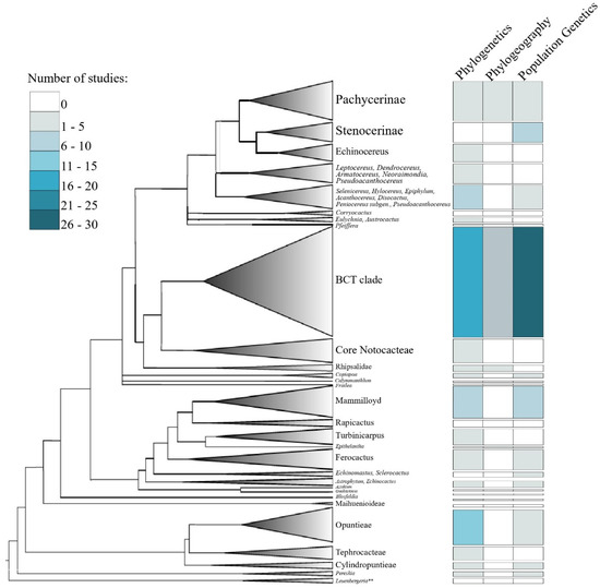 Evolutionary Genetics of Cacti: Research Biases, Advances and Prospects
