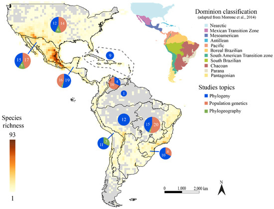 Evolutionary Genetics of Cacti: Research Biases, Advances and Prospects