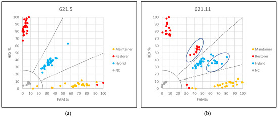 KASP Markers Specific for the Fertility Restorer Locus Rf1 and ...