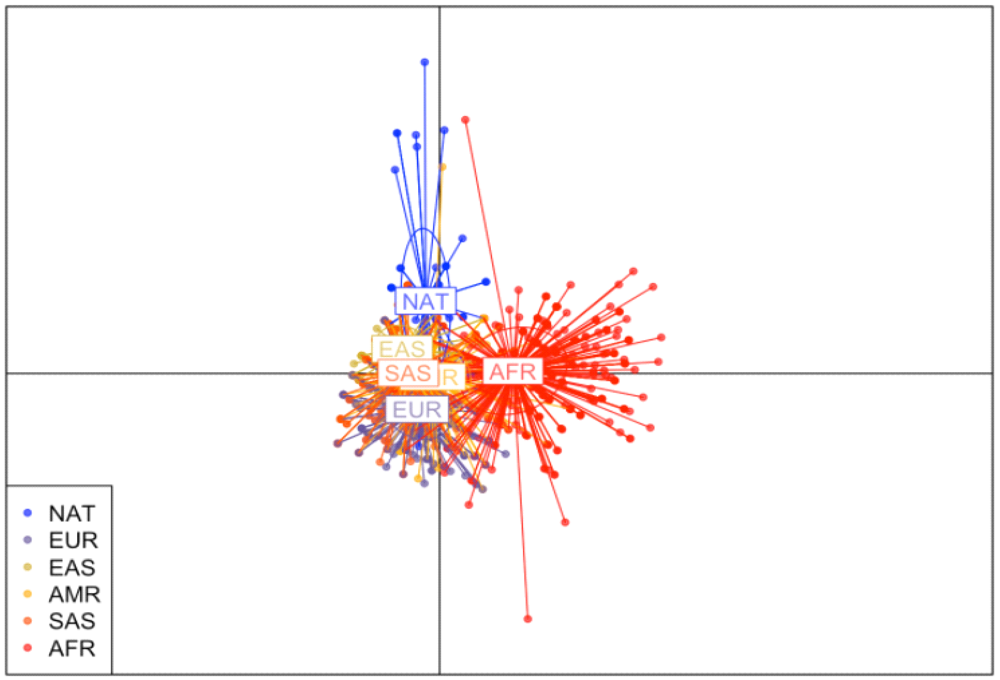 Genes | Free Full-Text | Characterization of PCLO Gene in Amazonian ...