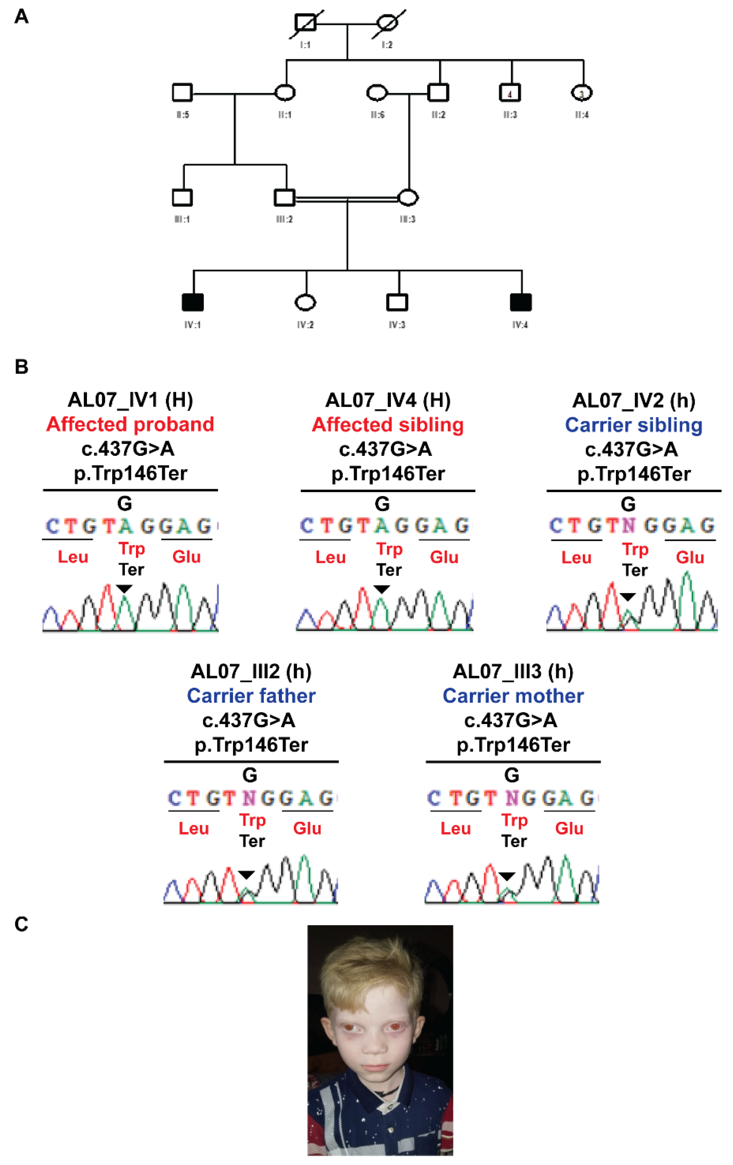 Genes | Free Full-Text | Delineating Novel and Known Pathogenic ...