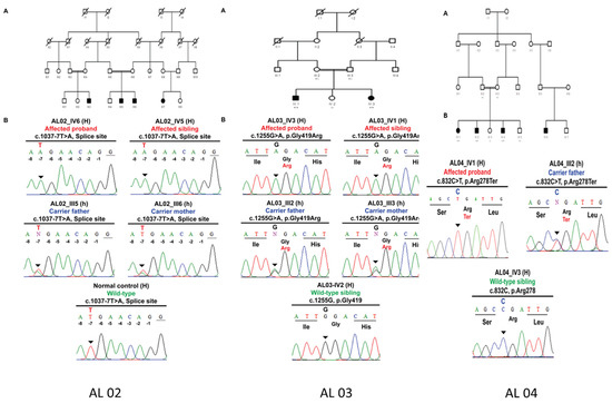 Genes | Free Full-Text | Delineating Novel and Known Pathogenic ...