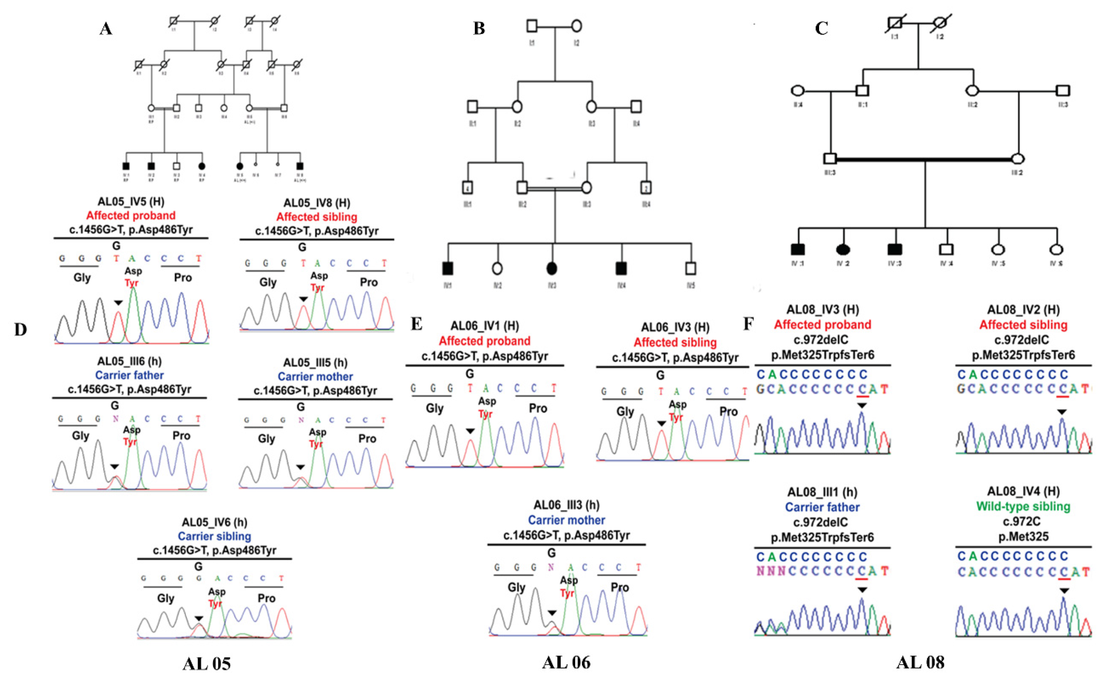 Genes | Free Full-Text | Delineating Novel and Known Pathogenic ...