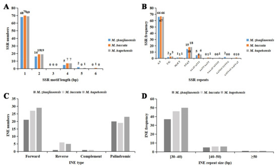 Genes | Free Full-Text | Identification of the Complete Chloroplast ...