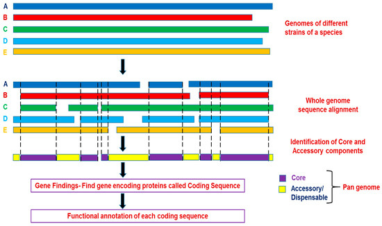 Pangenomics in Microbial and Crop Research: Progress, Applications, and ...