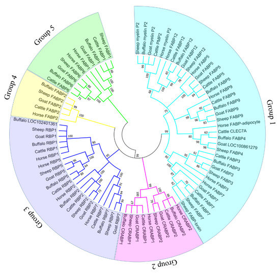 Evolutionary and Association Analysis of Buffalo FABP Family Genes ...