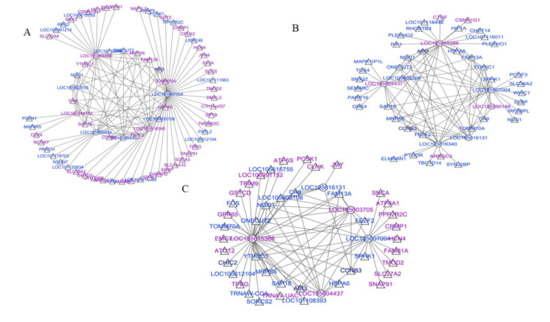 Genes | An Open Access Journal from MDPI
