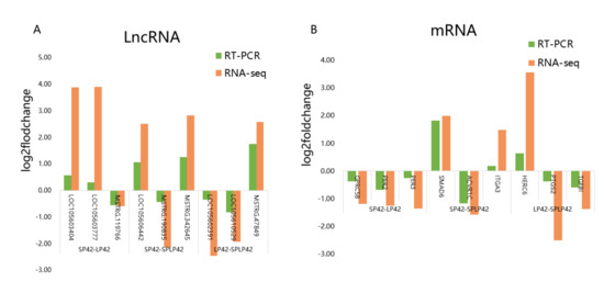 Genes | An Open Access Journal from MDPI
