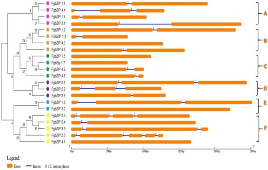 Genes | Free Full-Text | Genome-Wide Identification and Expression ...