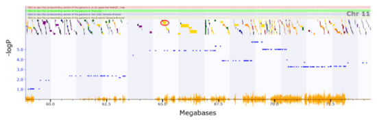 Genes | An Open Access Journal from MDPI