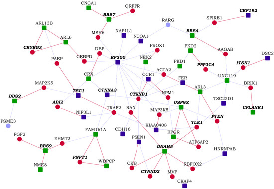 Genes | An Open Access Journal from MDPI