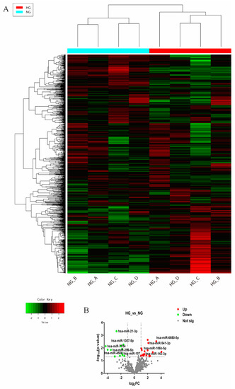 Genes | An Open Access Journal from MDPI