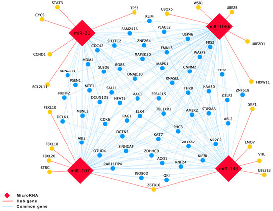 Genes | An Open Access Journal from MDPI