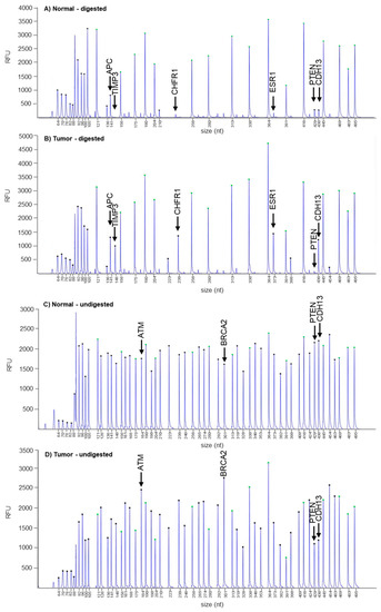 Genes Free Full Text Identification And Somatic Characterization Of