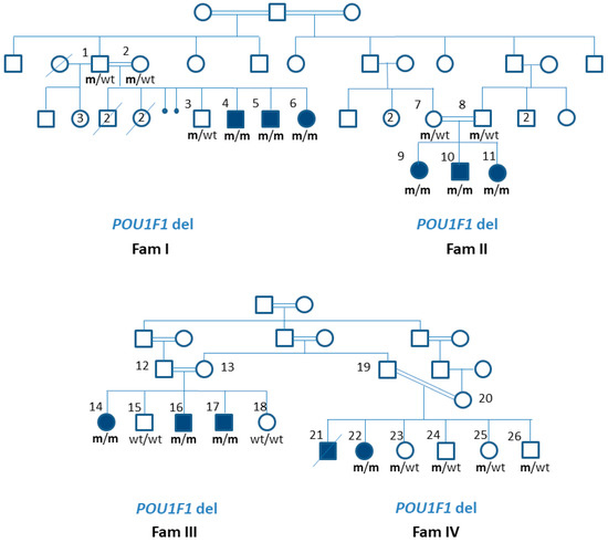 A Novel Splice-Site Deletion in the POU1F1 Gene Causes Combined ...