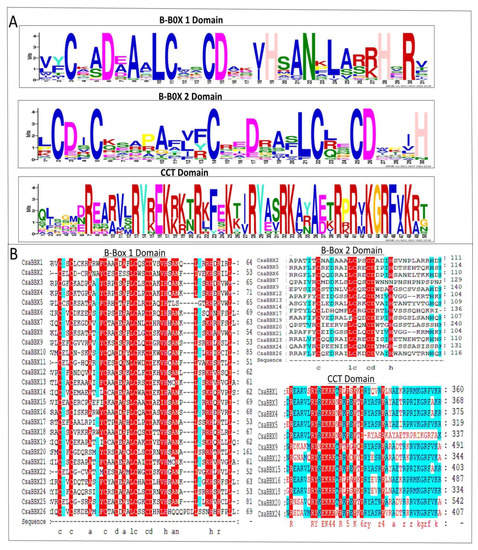 Genome-Wide Identification of the B-Box Gene Family and Expression ...