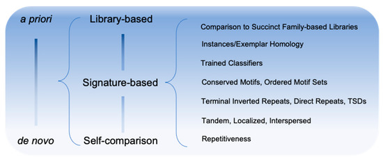 Methodologies for the De novo Discovery of Transposable Element Families