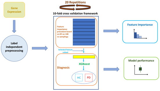 Genes | Free Full-Text | A Machine Learning Approach to Parkinson’s ...