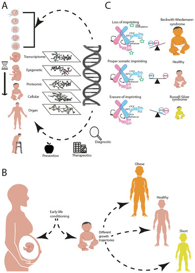 Network Approaches for Charting the Transcriptomic and Epigenetic ...