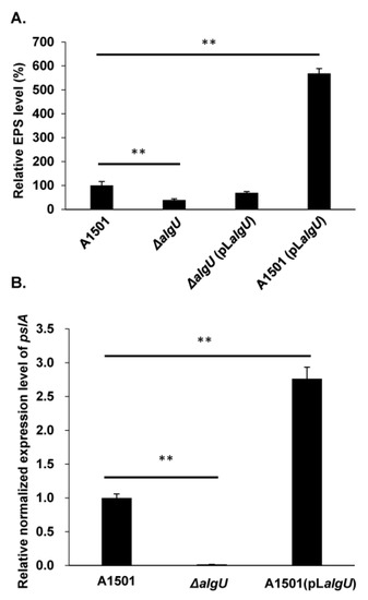 Genes | Free Full-Text | The Sigma Factor AlgU Regulates ...
