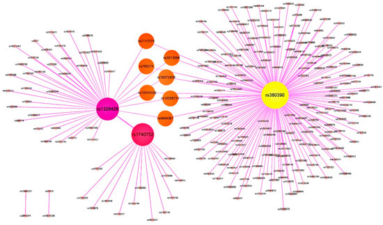 Multi-Objective Artificial Bee Colony Algorithm Based on Scale-Free Network for Epistasis Detection
