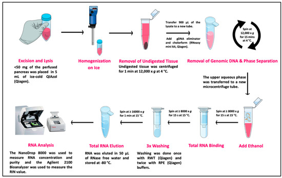 Comparing and Optimizing RNA Extraction from the Pancreas of Diabetic ...