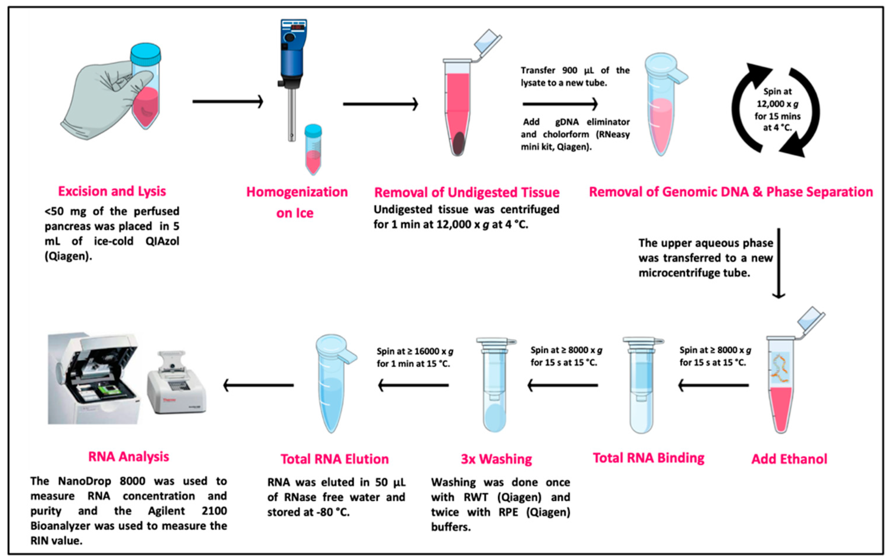 Genes Free Full Text Comparing And Optimizing Rna Extraction From