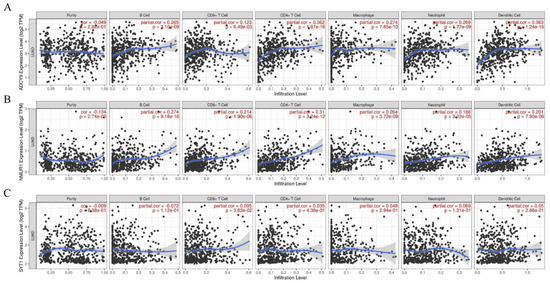 Identification of the circRNA-miRNA-mRNA Prognostic Regulatory Network ...