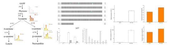 Genes | Free Full-Text | Transcriptomics Integrated with Metabolomics ...
