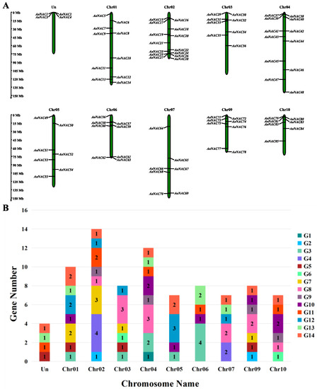 Genome-Wide Identification and Analysis of the NAC Transcription Factor ...